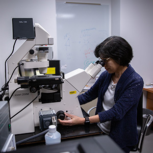 Akiko Nishiyama | Nishiyama Lab